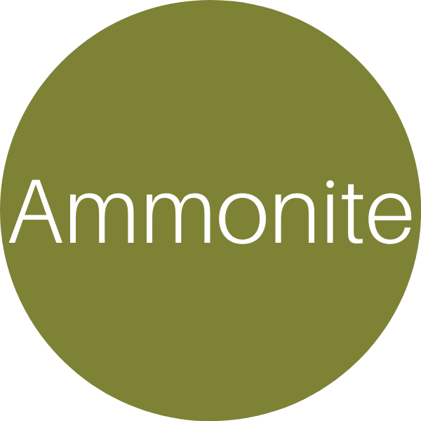 Ammonite-Header-Template - Ammonite